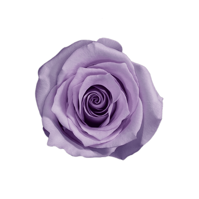 Inland Flower Market – The Wholesale Flower Market